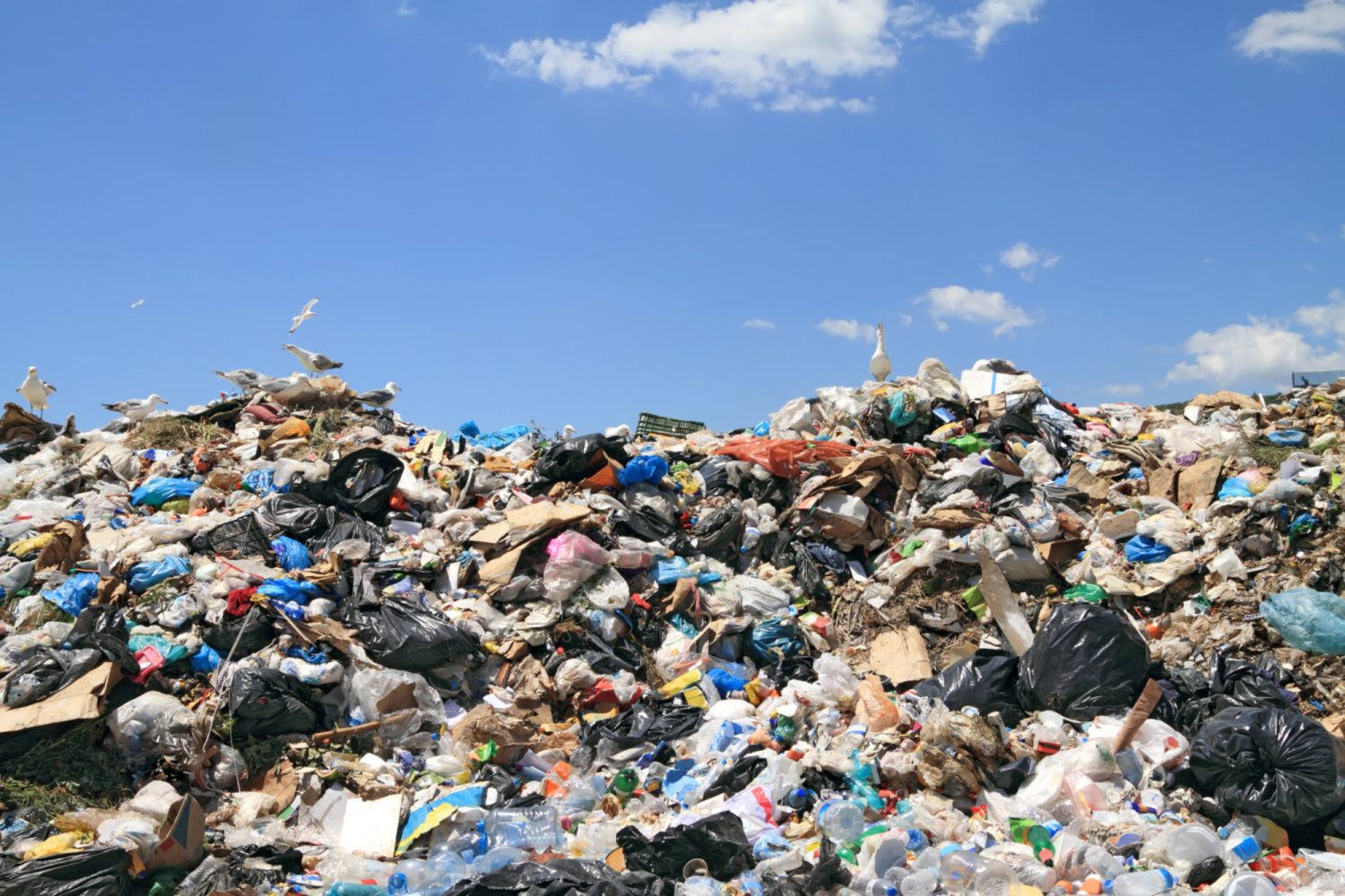New Waste Disposal Technologies in Ottawa: How to Prevent Landfill ...