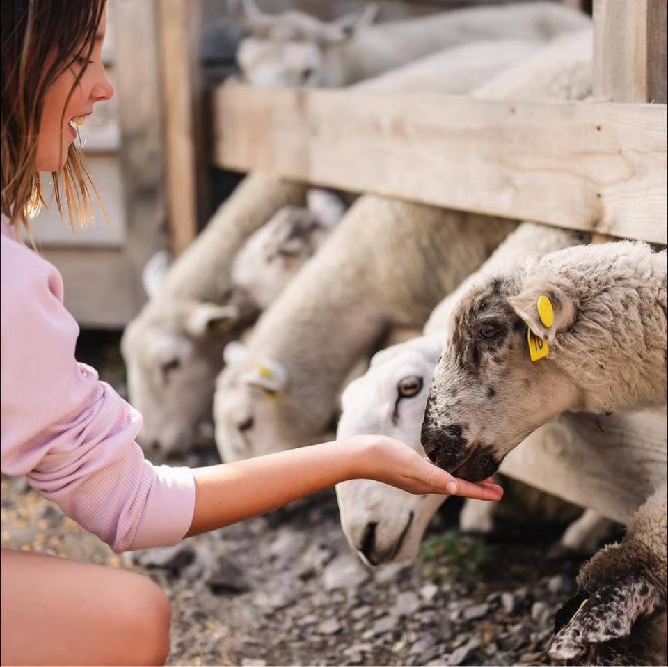 The Log Farm: A Family-Friendly Destination for All Seasons - ottawa.name