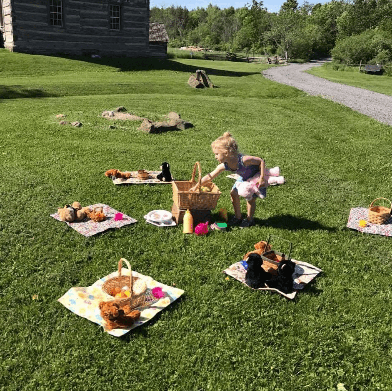 The Most Interesting Farms in Ottawa and Its Surroundings - ottawa.name